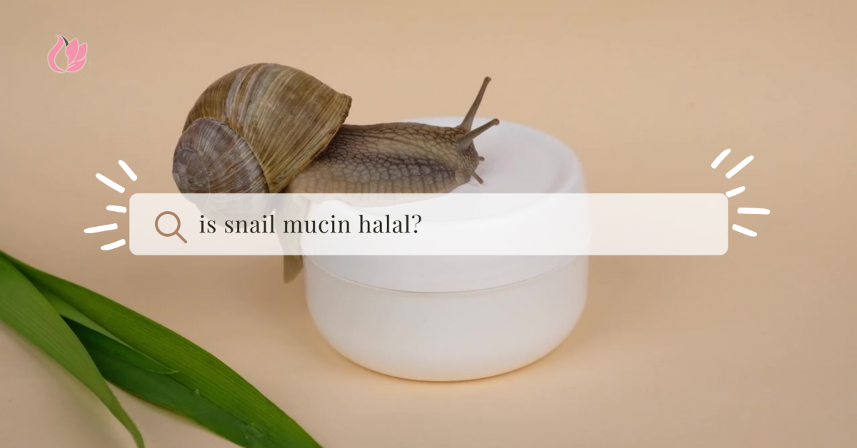 Is Snail Mucin Halal? | Lifestyle in Cloud UAE